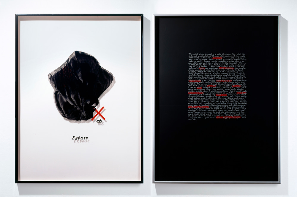 Mary Kelly at the New Hall Art Collection at the University of ...