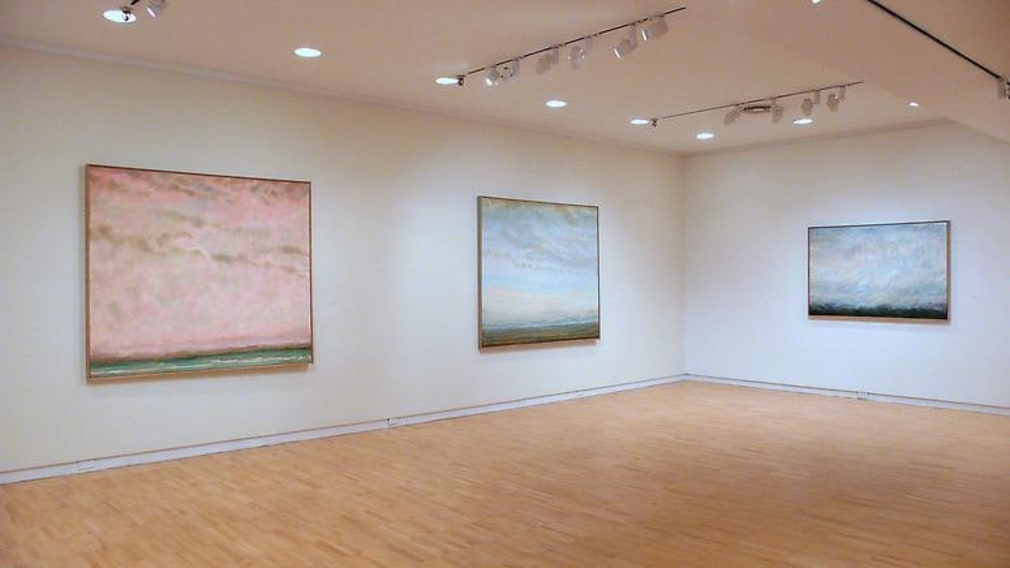 Jane Wilson - - Exhibitions - DC Moore Gallery