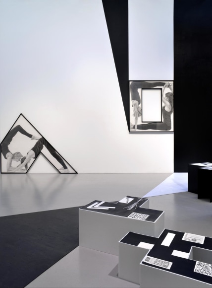 Karl Haendel - Organic Bedfellow, Feral Othello - Exhibitions ...