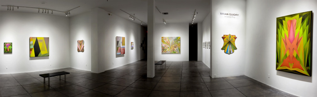 BRIAN GUIDRY - Invisible Ping - Exhibitions - FERRARA SHOWMAN GALLERY