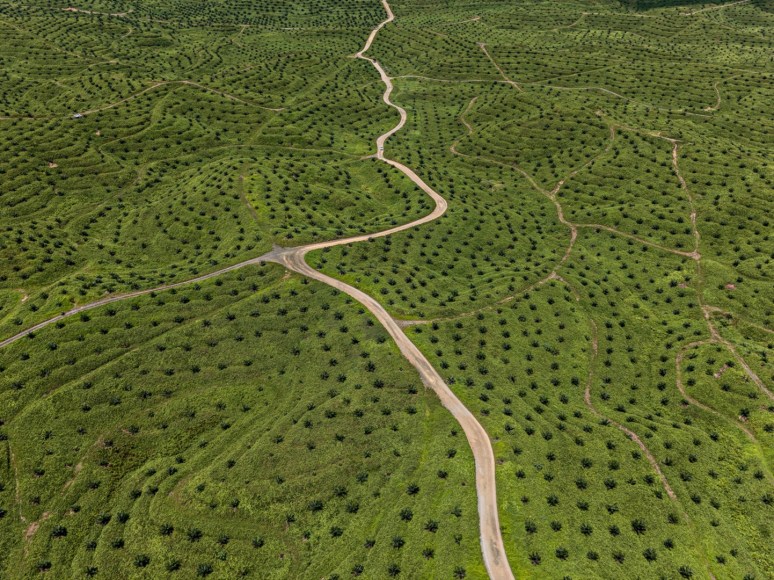 Edward Burtynsky: Anthropocene - Main Gallery - Exhibitions - Howard ...