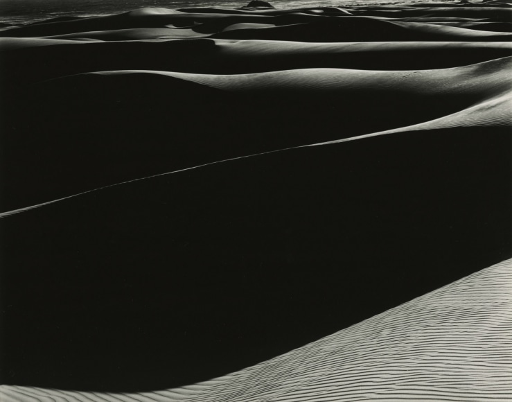 Edward Weston - Artists - Howard Greenberg Gallery