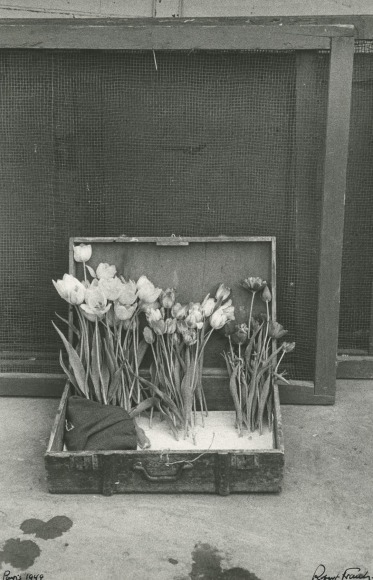 Robert Frank - Artists - Howard Greenberg Gallery