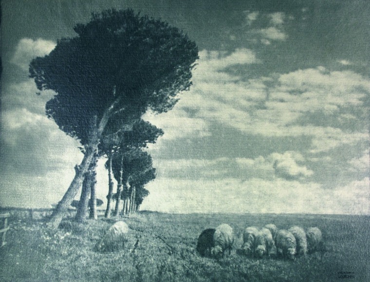 Heinrich Kuehn: Viennese Photo-Secessionist - HGG2 - Exhibitions ...