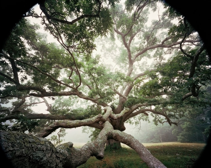 Bruce Davidson: In Color - Main Gallery - Exhibitions - Howard ...