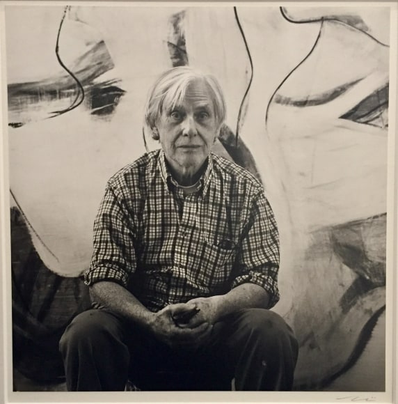 Mariana Cook, (American, b. 1955) - Artists - Anders Wahlstedt Fine Art