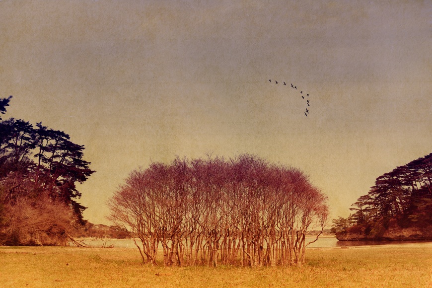 ALBARRAN CABRERA - Artists - Fine Art Photography Gallery in New York ...