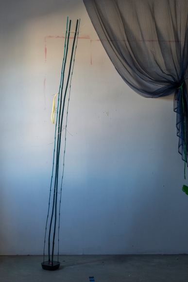 David Gilbert - Artists - Anthony Meier Fine Arts