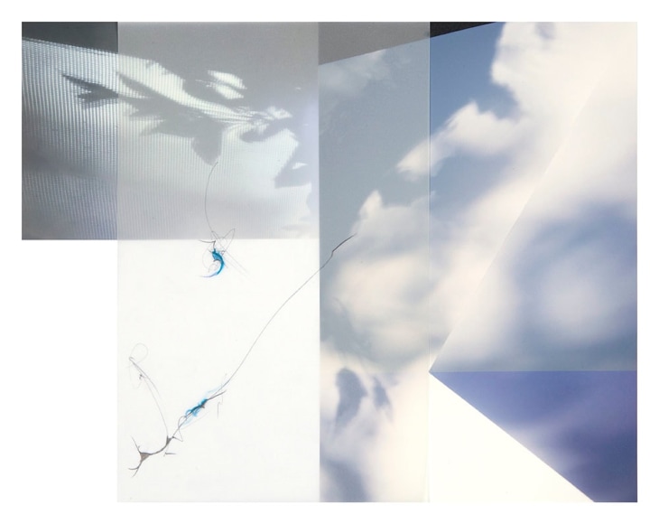 Sandi Haber Fifield - Artists - Yancey Richardson