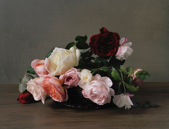 Sharon Core - Artists - Yancey Richardson