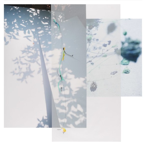 Sandi Haber Fifield - Artists - Yancey Richardson