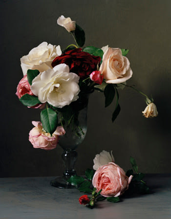 Sharon Core: 1606-1907 - - Exhibitions - Yancey Richardson