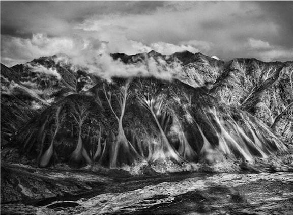 Sebastiao Salgado - Artists - Yancey Richardson