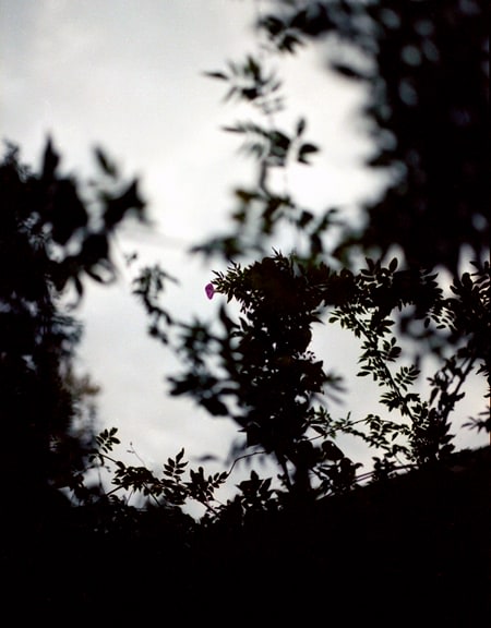 Bryan Graf - Artists - Yancey Richardson