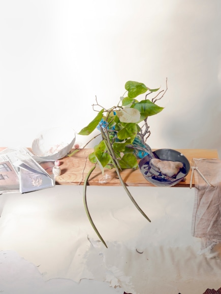 Laura Letinsky - For, and because of... - Exhibitions - Yancey Richardson