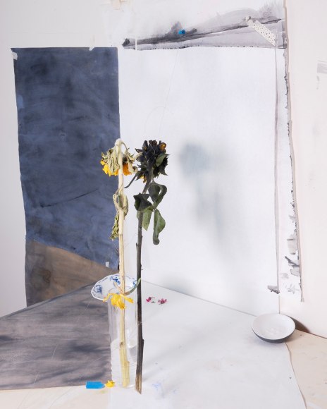 Laura Letinsky - For, and because of... - Exhibitions - Yancey Richardson