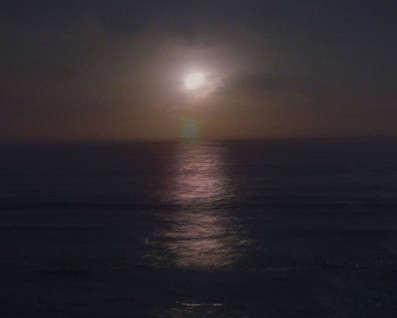 Amy Elkins - Artists - Yancey Richardson