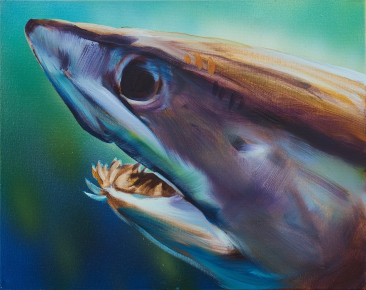 Tim Ebner - Exhibitions - Rosamund Felsen Gallery