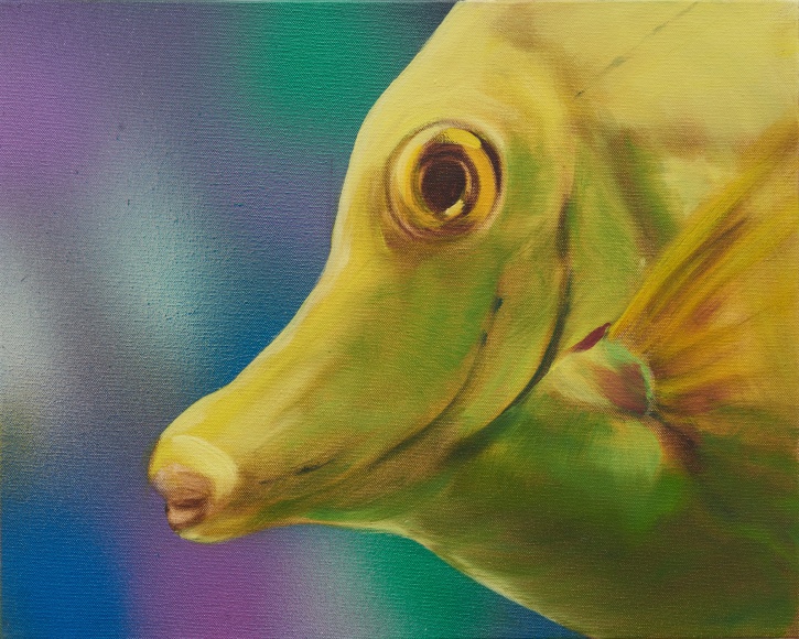 Tim Ebner - Exhibitions - Rosamund Felsen Gallery