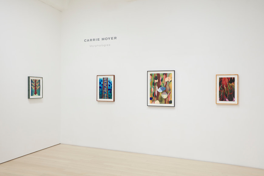 Carrie Moyer: Morphologies - - Exhibitions - DC Moore Gallery