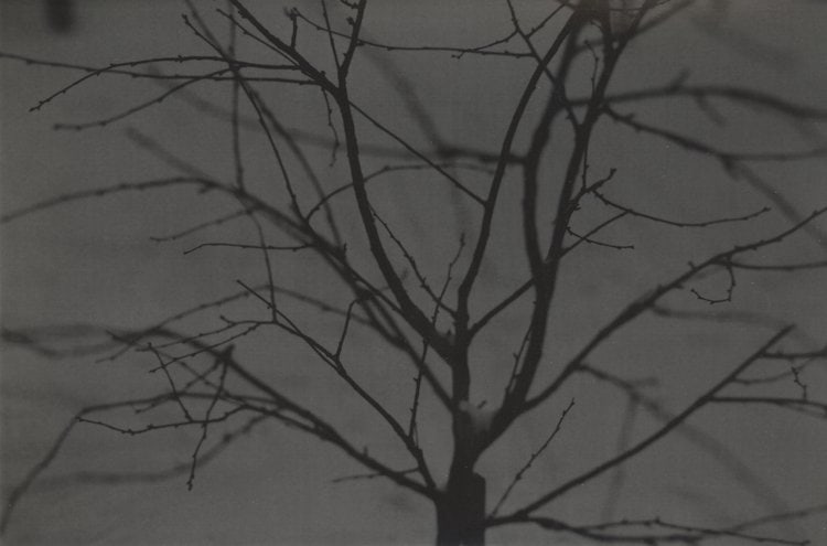 Winter Tales - - Exhibitions - Nailya Alexander Gallery