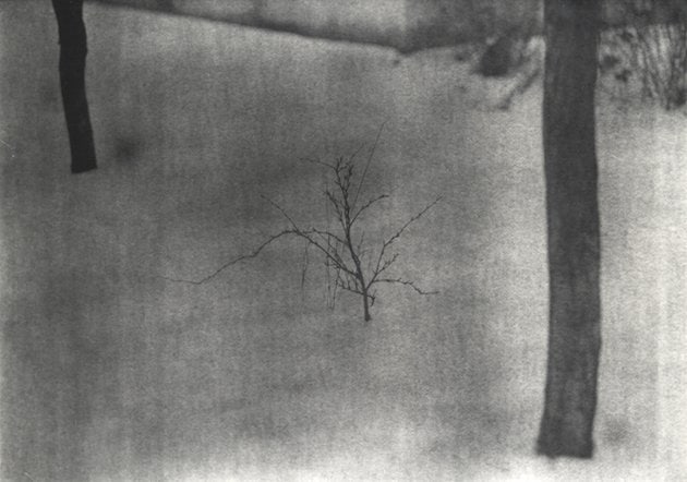 Winter Tales - - Exhibitions - Nailya Alexander Gallery