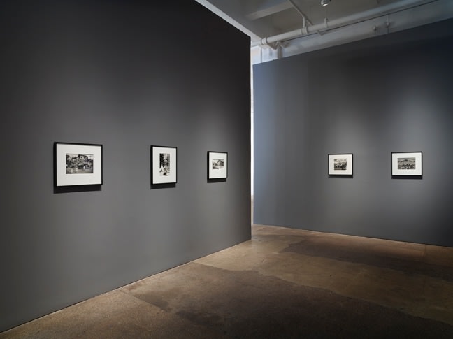 Jane Hammond - Light Now: Dazzle Paintings and Photographs ...