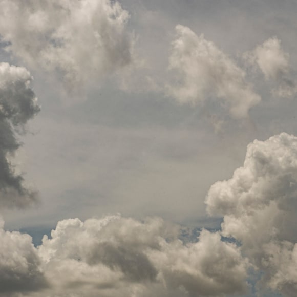 Catherine Erb - Artists - Pryor Fine Art