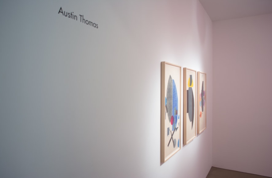 Austin Thomas - - Exhibitions - Morgan Lehman Gallery