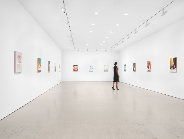 EMILY EVELETH - 520 West 21st Street - Exhibitions - Miles McEnery Gallery