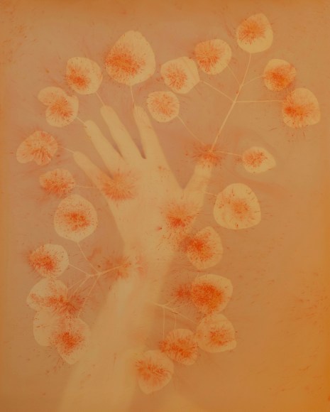 San Diego Views - - Exhibitions - Joseph Bellows Gallery