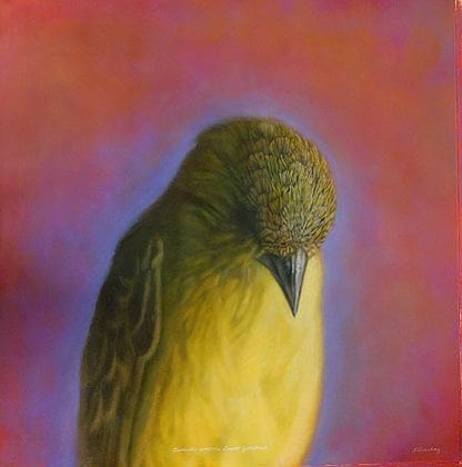 Kate Breakey - Painted Photographs - Exhibitions - Joseph Bellows Gallery