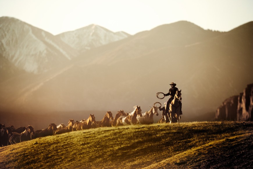 Jim Krantz - Artists - Danziger Gallery