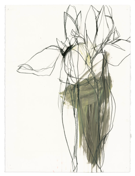 Andrea Rosenberg - Artists - Barry Whistler Gallery