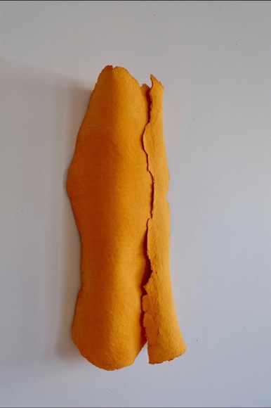 Esther Rosa - Artists - Insight Artspace