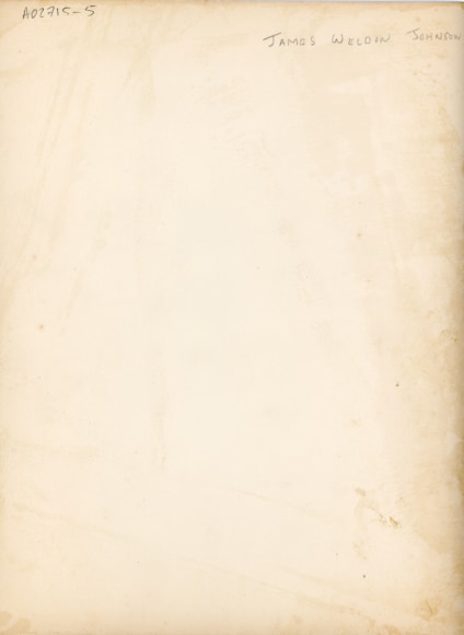 JAMES WELDON JOHNSON BY DORIS ULMANN - Vintage Platinum Print ...