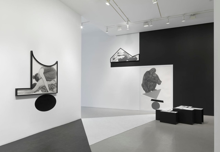 Karl Haendel - Organic Bedfellow, Feral Othello - Exhibitions ...