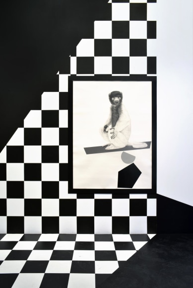 Karl Haendel - Organic Bedfellow, Feral Othello - Exhibitions ...