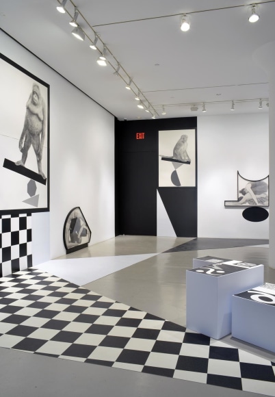 Karl Haendel - Organic Bedfellow, Feral Othello - Exhibitions ...