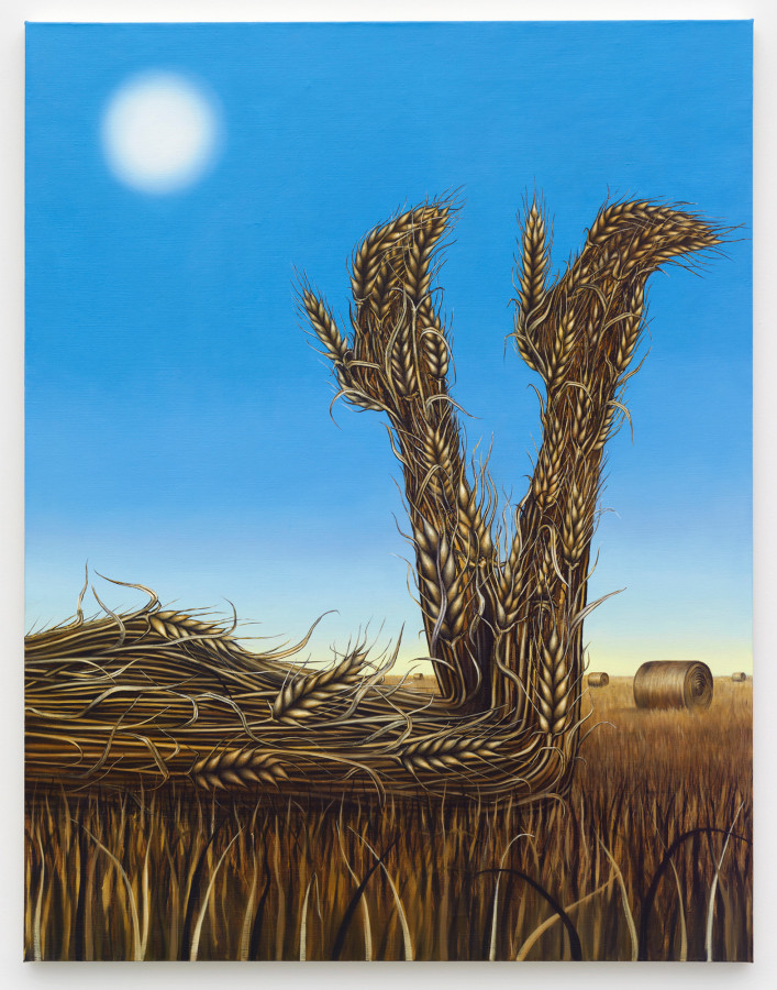 Emily Mae Smith - Artists - Petzel Gallery