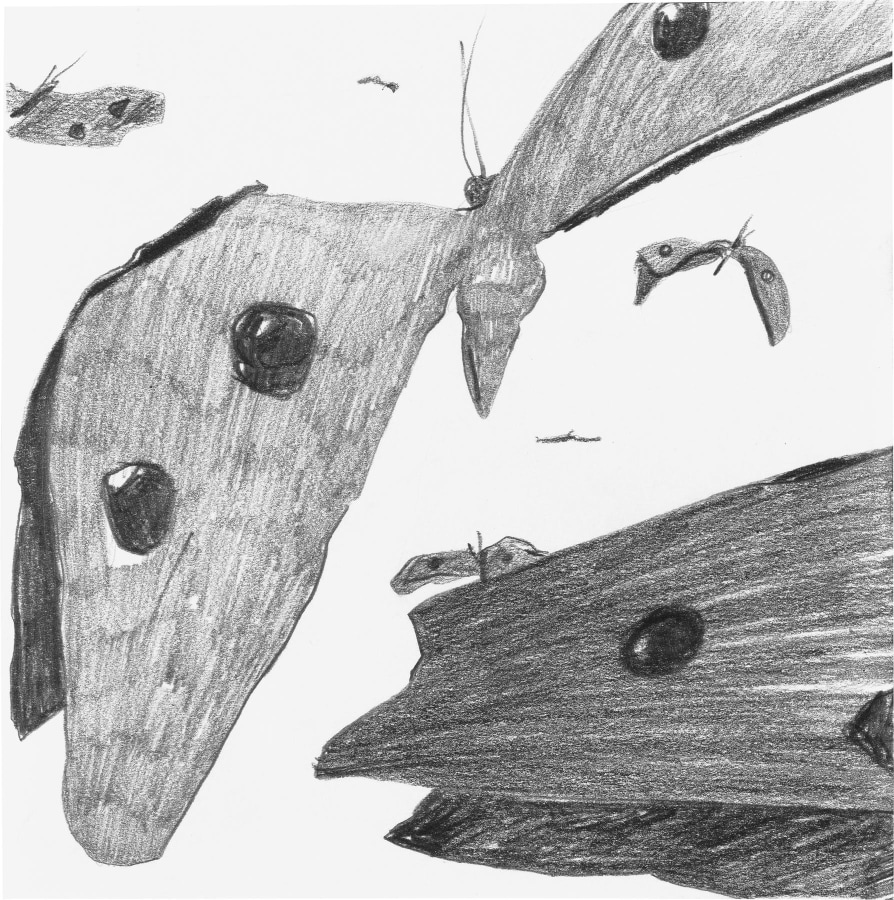 Nicola Tyson - Works on Paper - Exhibitions - Petzel Gallery