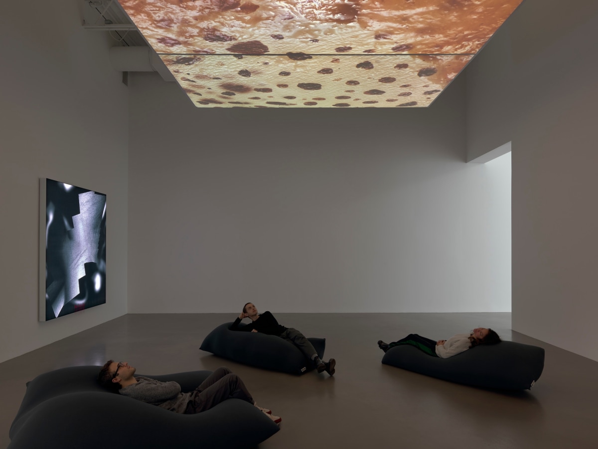 Seth Price - Hell Has Everything - Exhibitions - Petzel Gallery