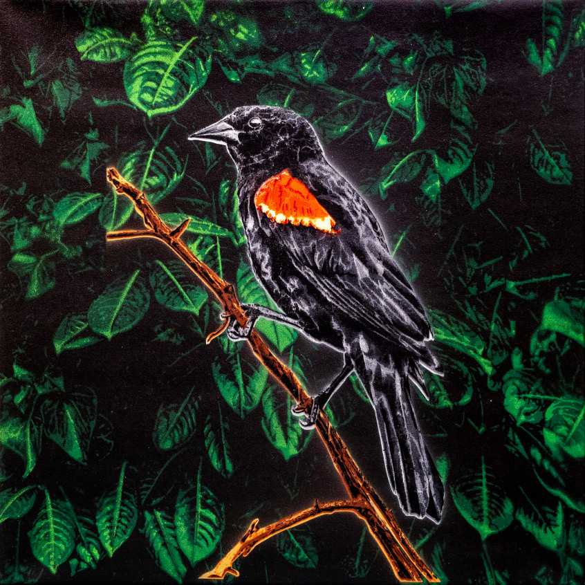 Logan Hicks: Flock Together - Exhibitions - TAGLIALATELLA GALLERIES