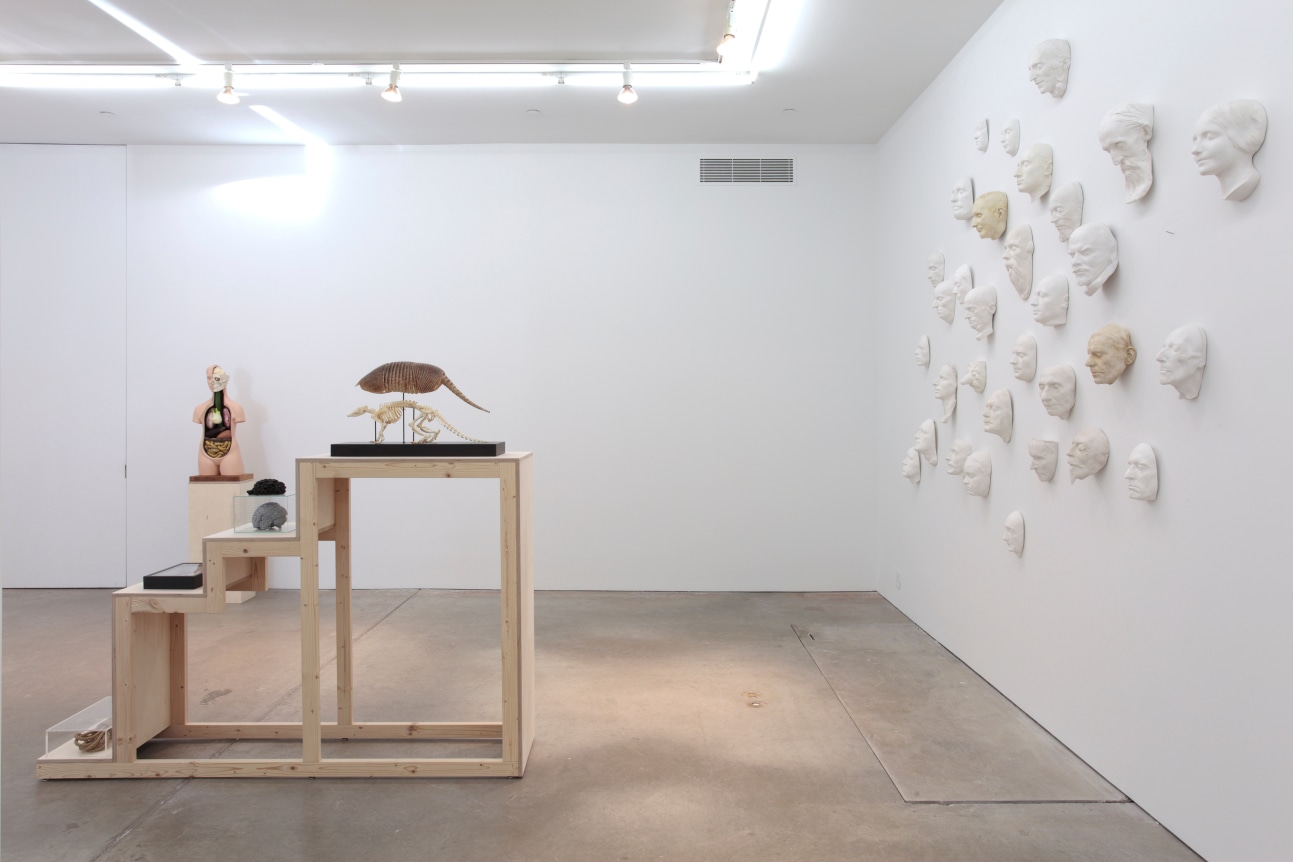 KLAUS WEBER - Artists - Andrew Kreps Gallery