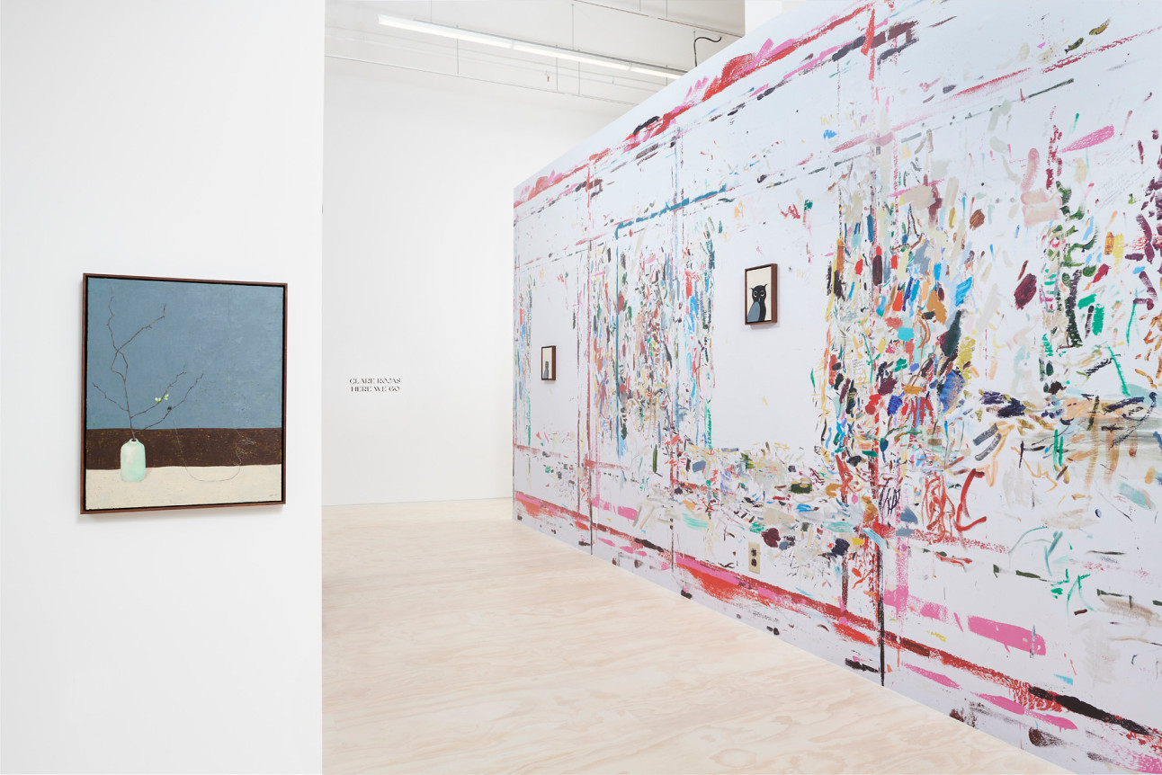 CLARE ROJAS - Artists - Andrew Kreps Gallery