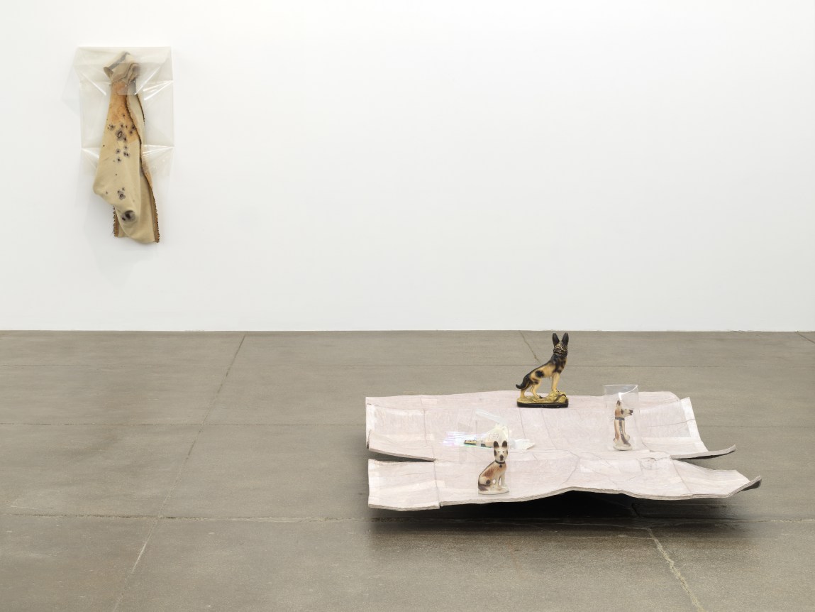 LIZ MAGOR - Artists - Andrew Kreps Gallery