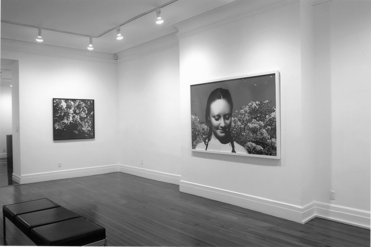 Short Stories: A Summer Group Show - Diana Kingsley, Heidi McFall, Mike ...