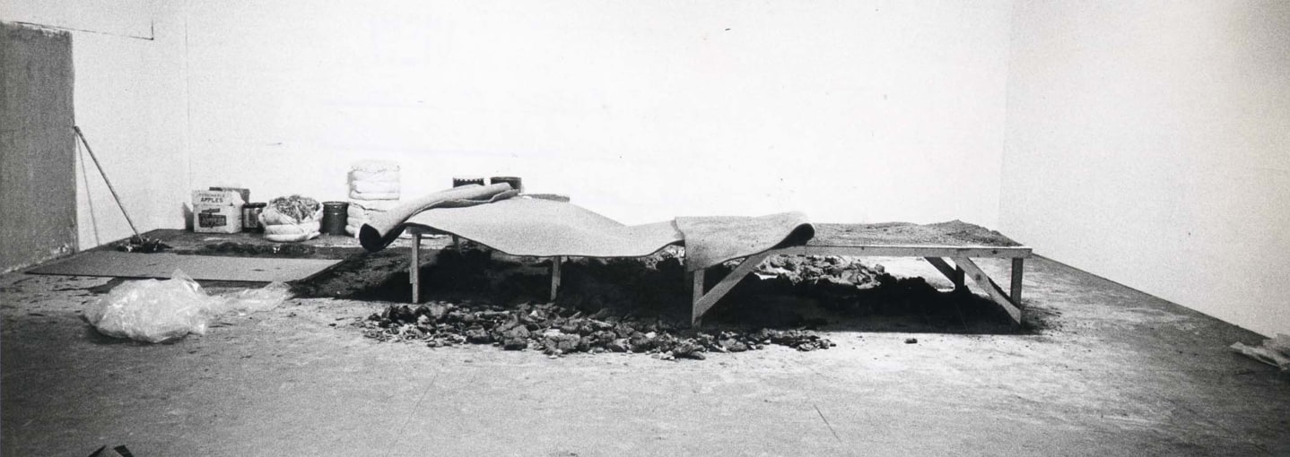 Robert Morris - Continuous Project Altered Daily - Exhibitions - Castelli Gallery