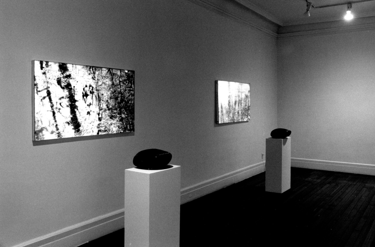 Silence - Video Paintings by Shoja Azari and Shahram Karimi ...