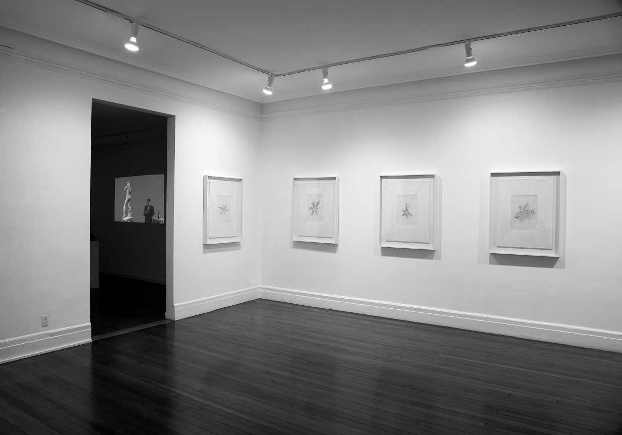 Summer Group Show - Shoja Azari and Shahram Karimi, Diana Kingsley ...